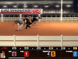 Greyhound Racing | Free Online HTML5 Games | Minigames