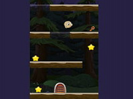 Rolling Cat | Free Online yiv Games | Minigames